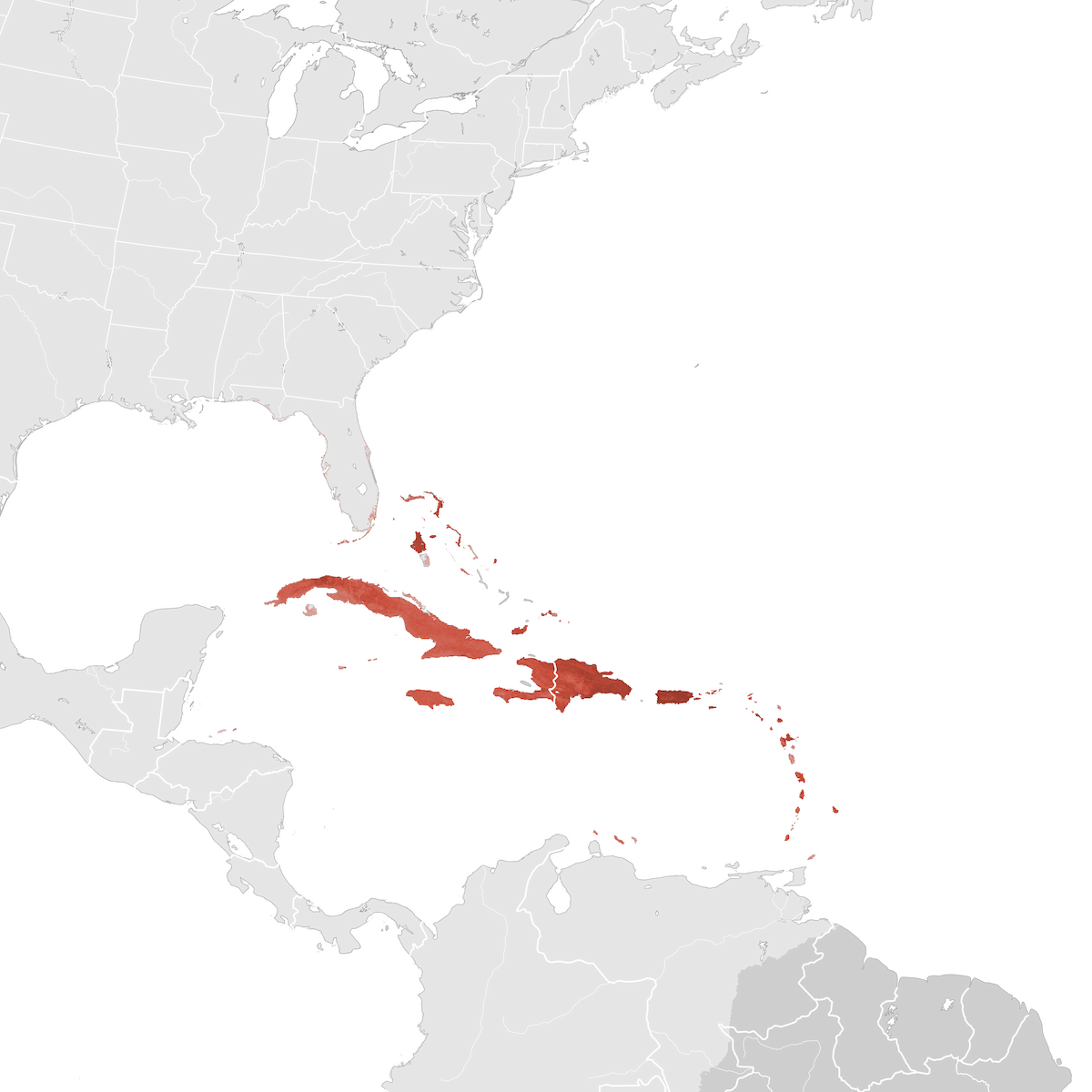 Gray Kingbird - Abundance map: Breeding - eBird Status and Trends