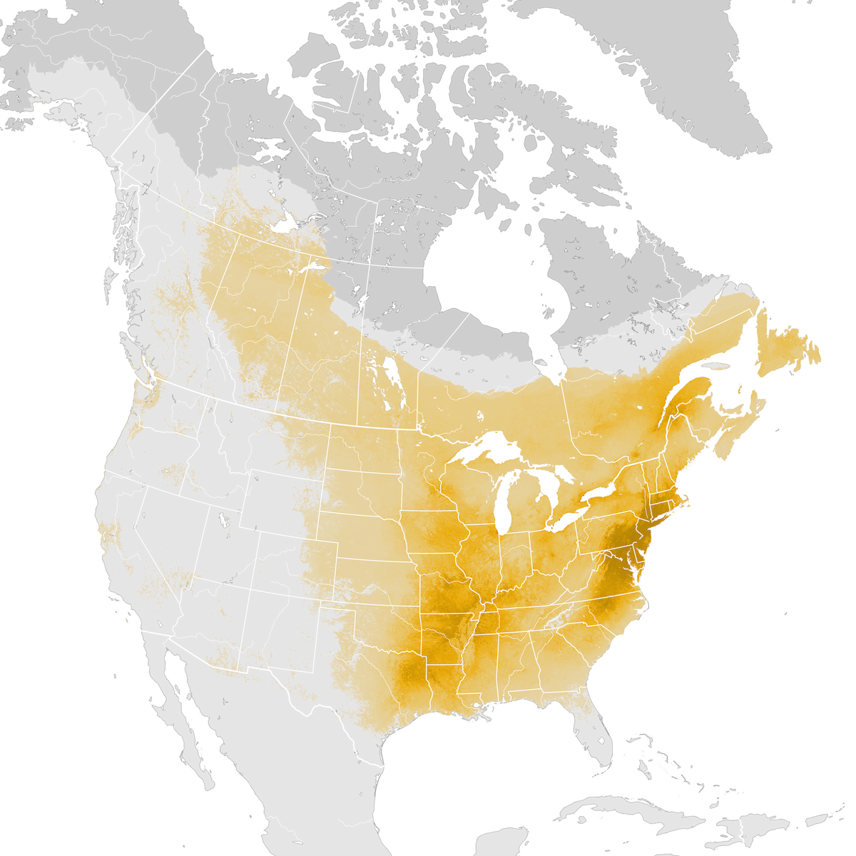 White-throated Sparrow - Abundance map: Post-breeding migration - eBird ...
