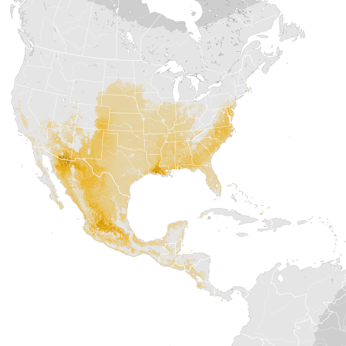 Blue Grosbeak - Abundance map: Post-breeding migration - eBird Status ...