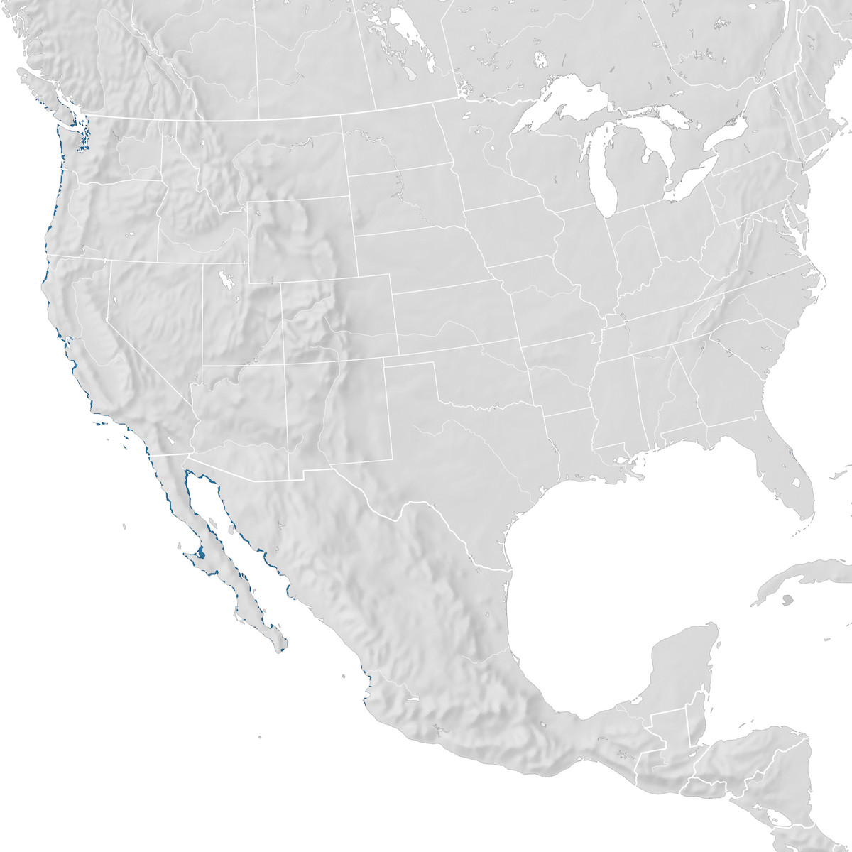 Heermann's Gull - Range map: Non-breeding - eBird Status and Trends
