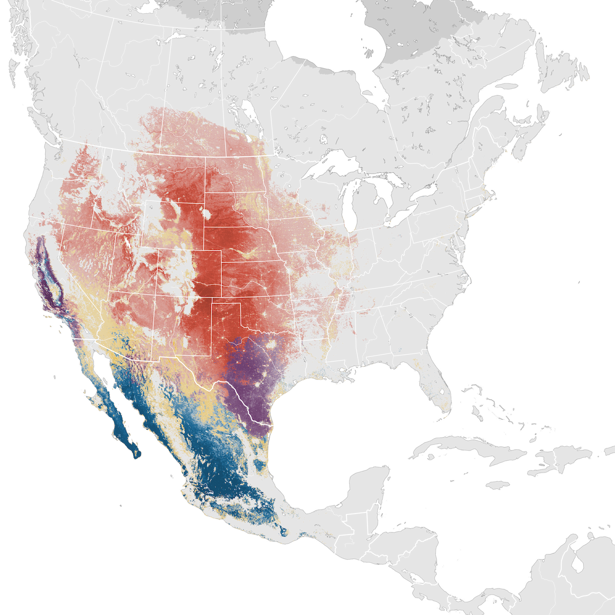Lark Sparrow - Abundance map - eBird Status and Trends