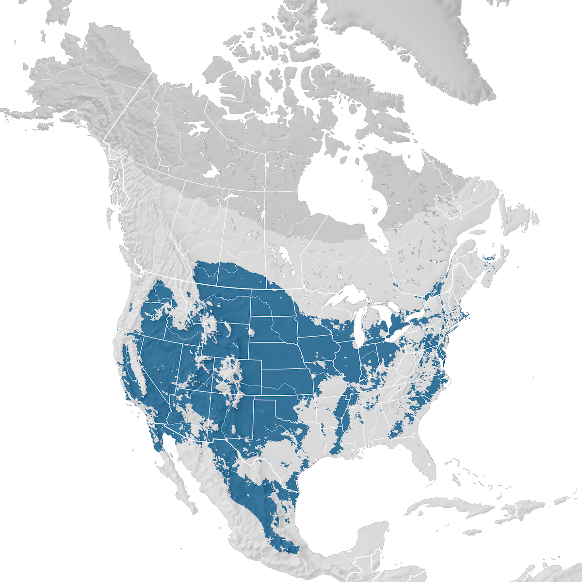 Horned Lark - Range map: Non-breeding - eBird Status and Trends