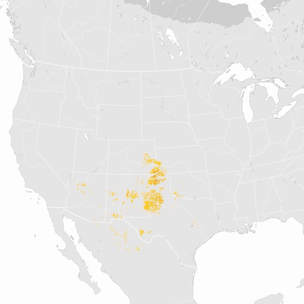 McCown's Longspur - Abundance animation - eBird Status and Trends