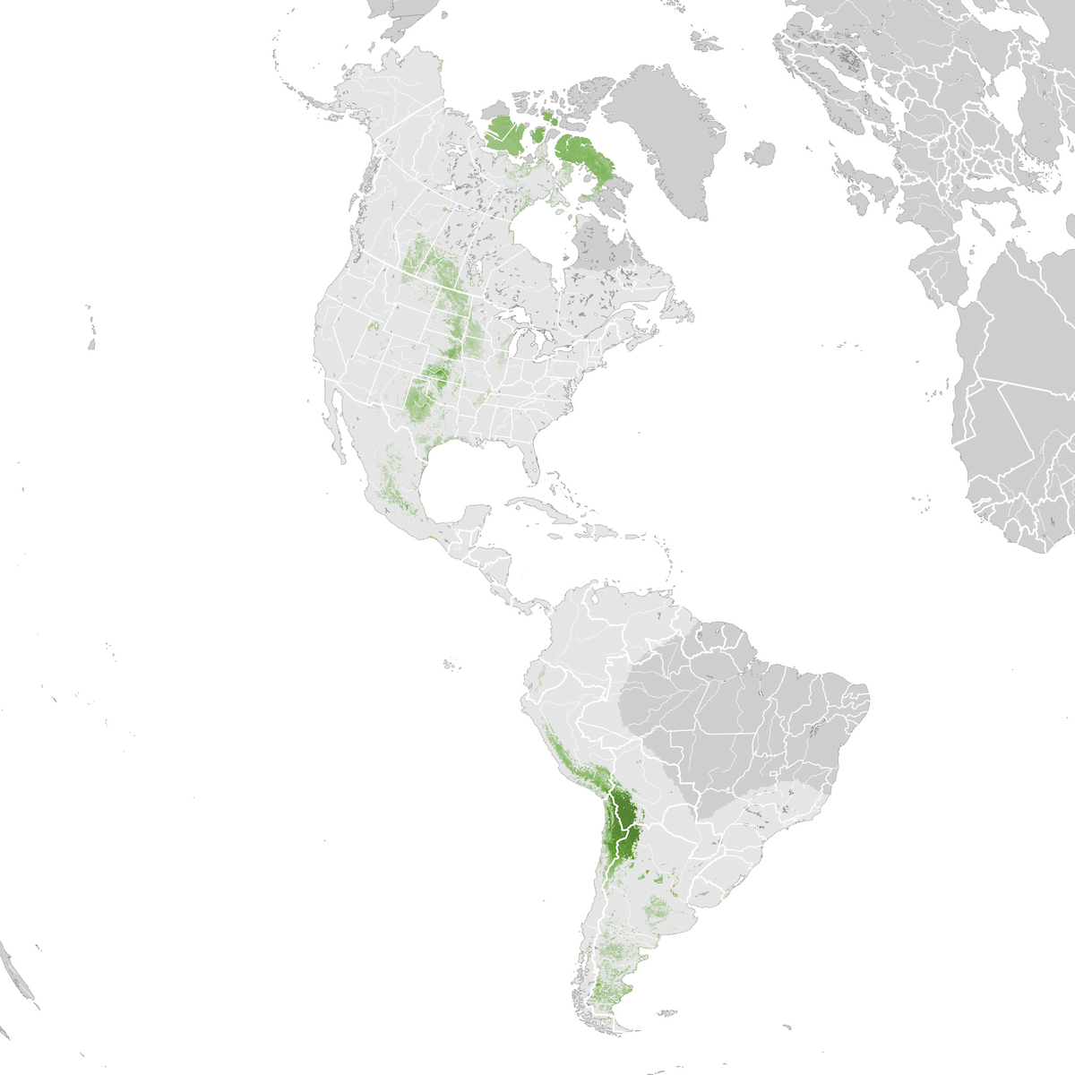 Baird's Sandpiper - Abundance map: Pre-breeding migration - eBird ...