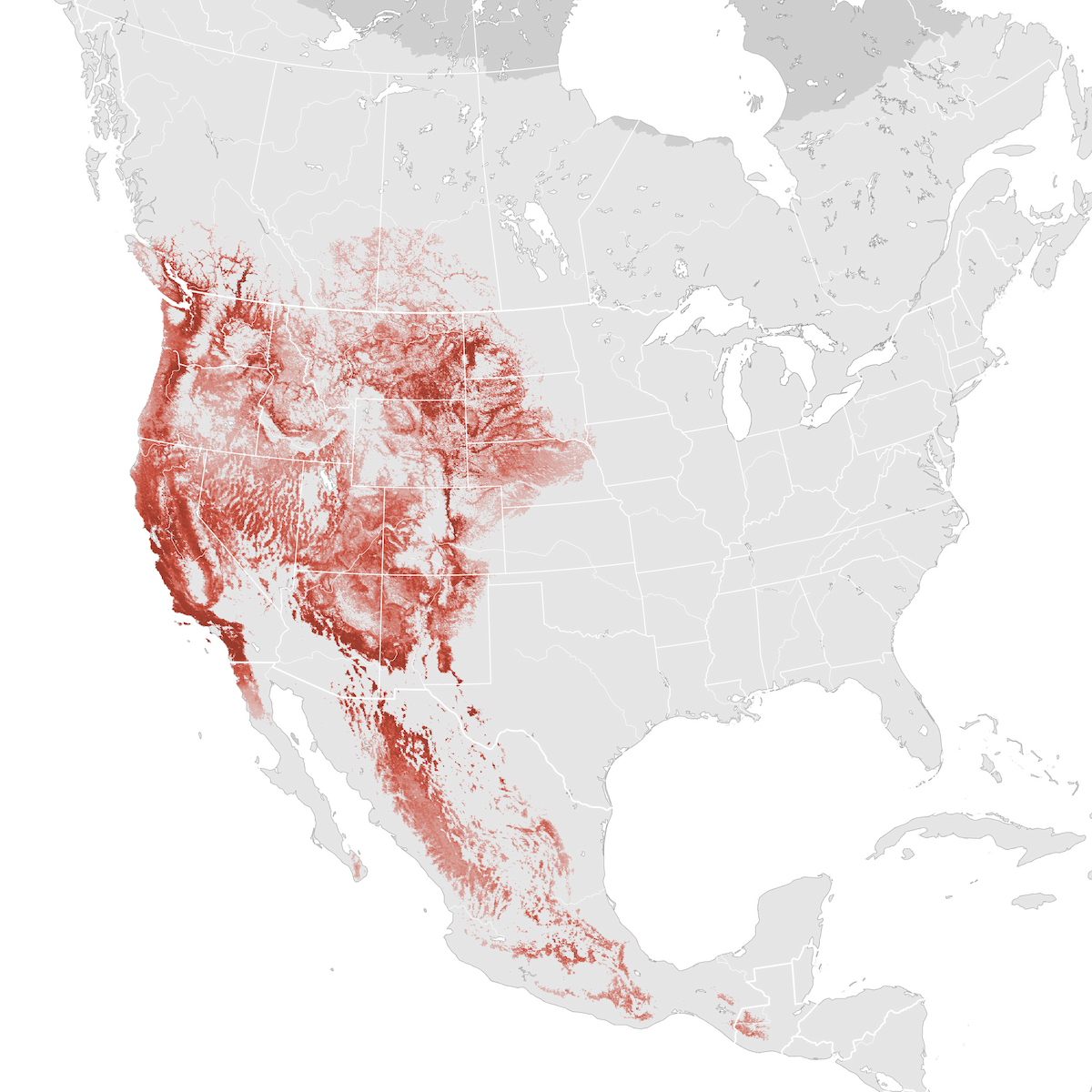 Spotted Towhee - Abundance map: Breeding - eBird Status and Trends