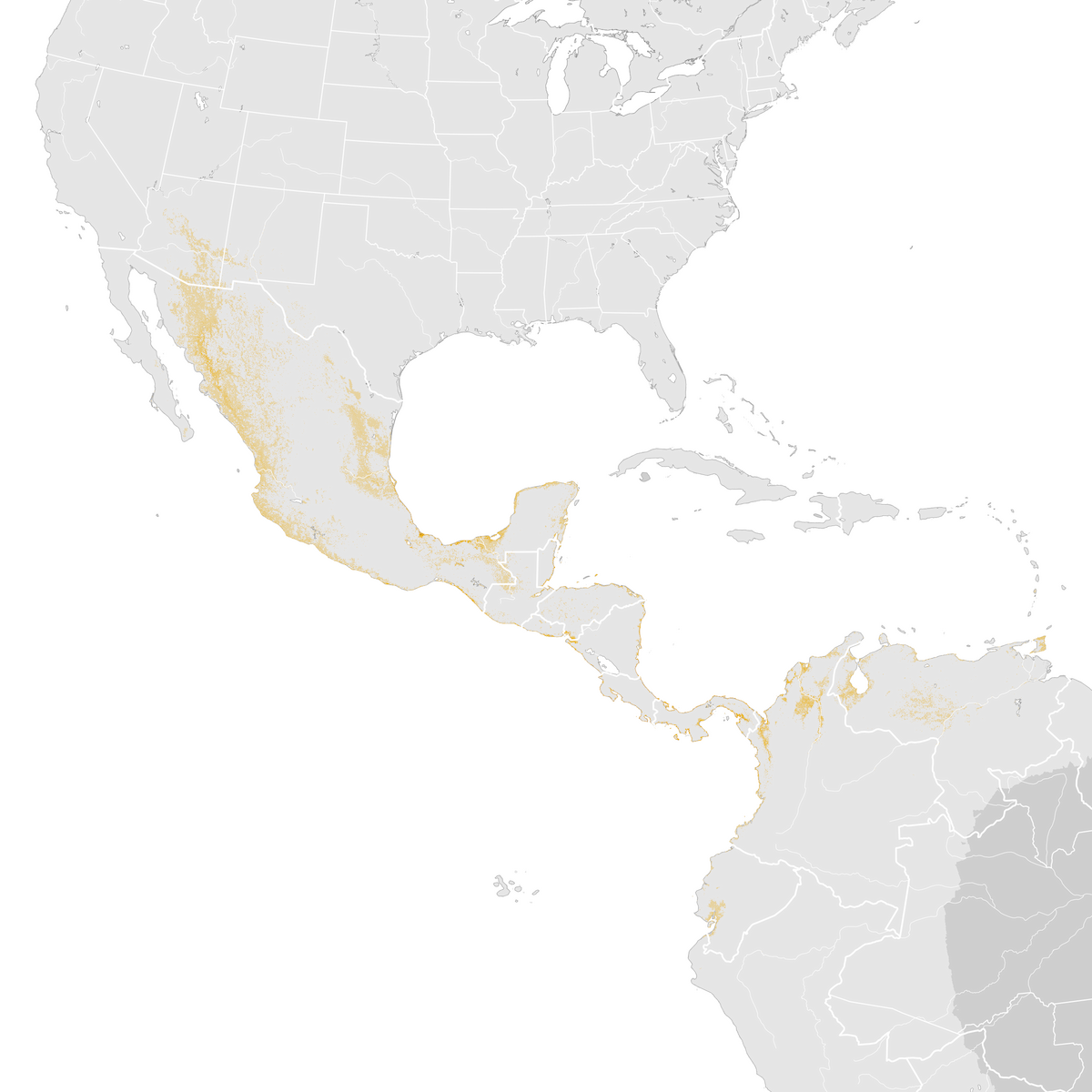 Common Black Hawk - Abundance map: Post-breeding migration - eBird ...
