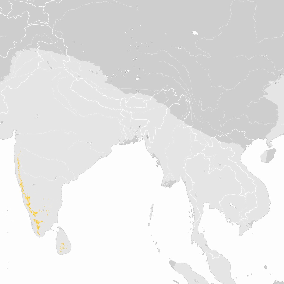 Indian Blue Robin - Abundance animation - eBird Status and Trends