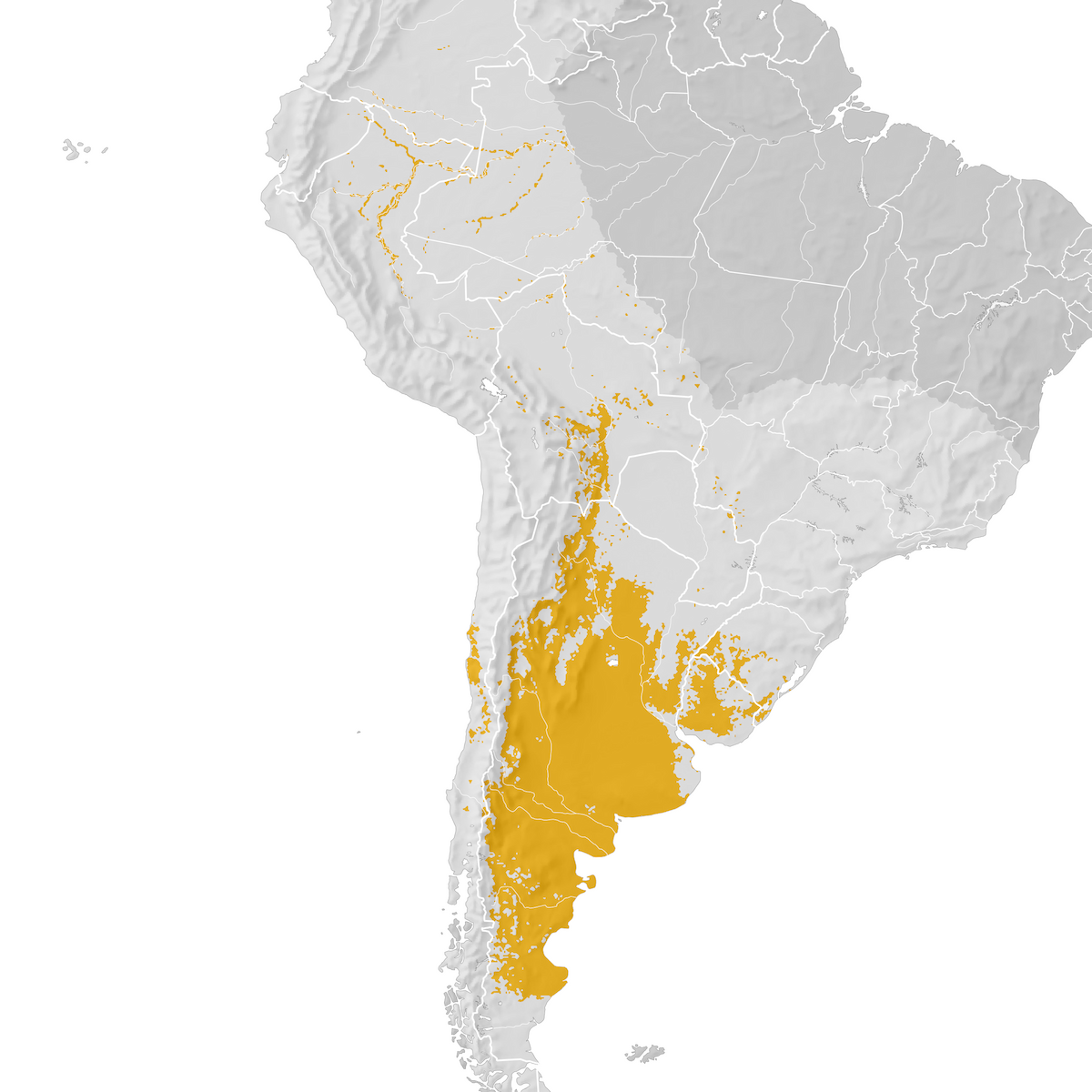 Southern Martin - Range map: Pre-breeding migration - eBird Status and ...