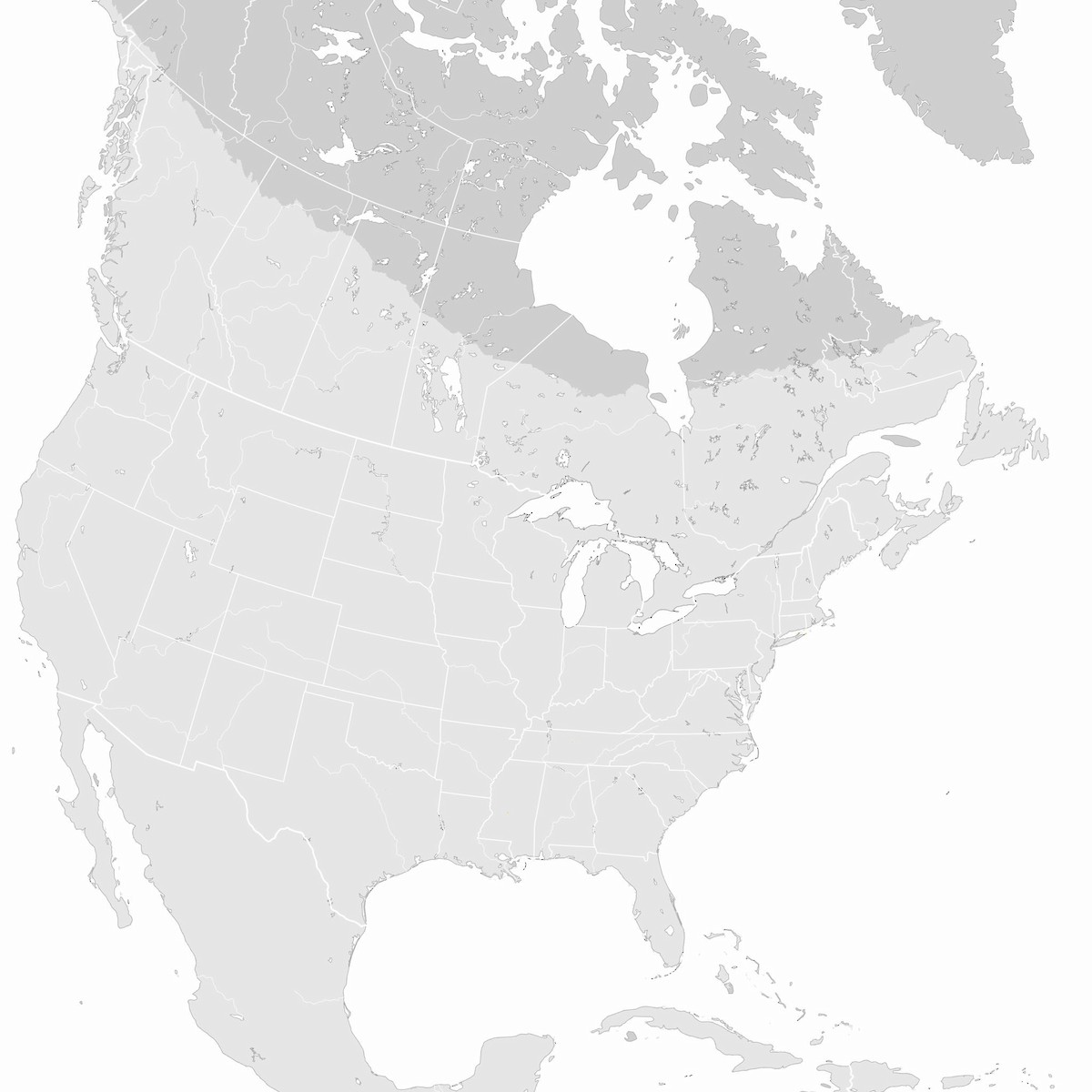 Little Gull - Abundance animation - eBird Status and Trends