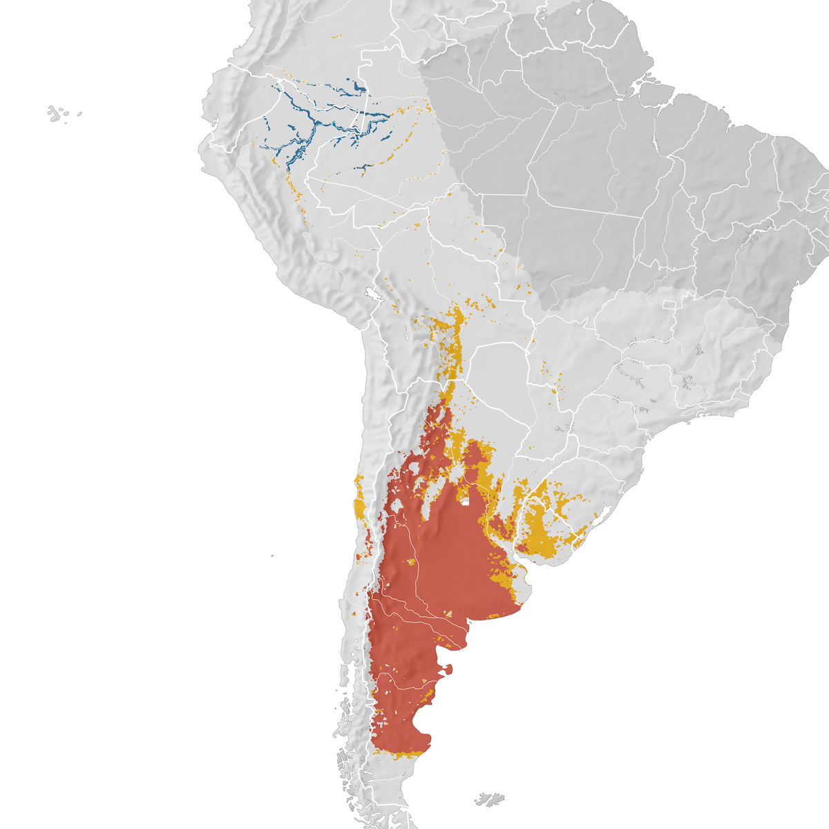 Southern Martin - Range map - eBird Status and Trends
