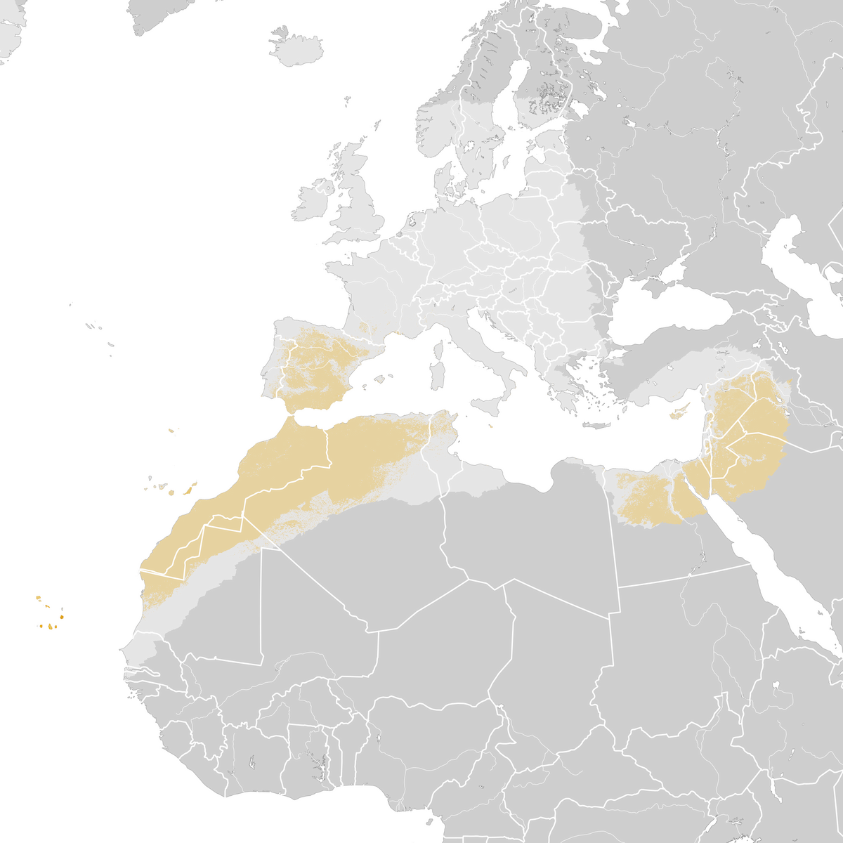 Spectacled Warbler - Abundance map: Post-breeding migration - eBird ...
