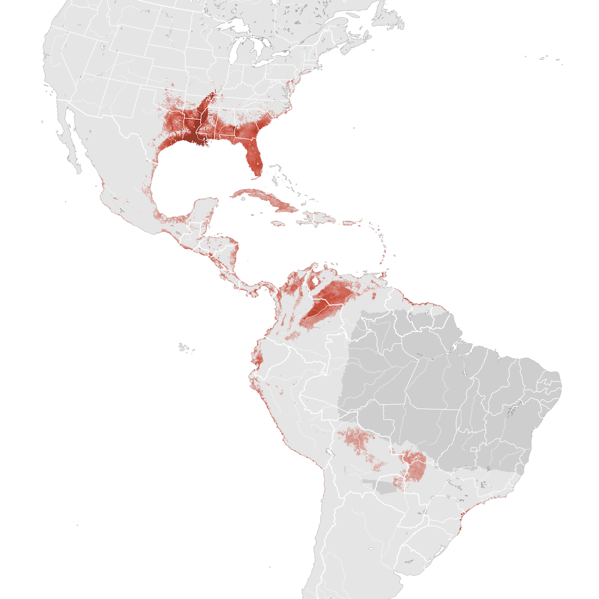 Little Blue Heron - Abundance map: Breeding - eBird Status and Trends