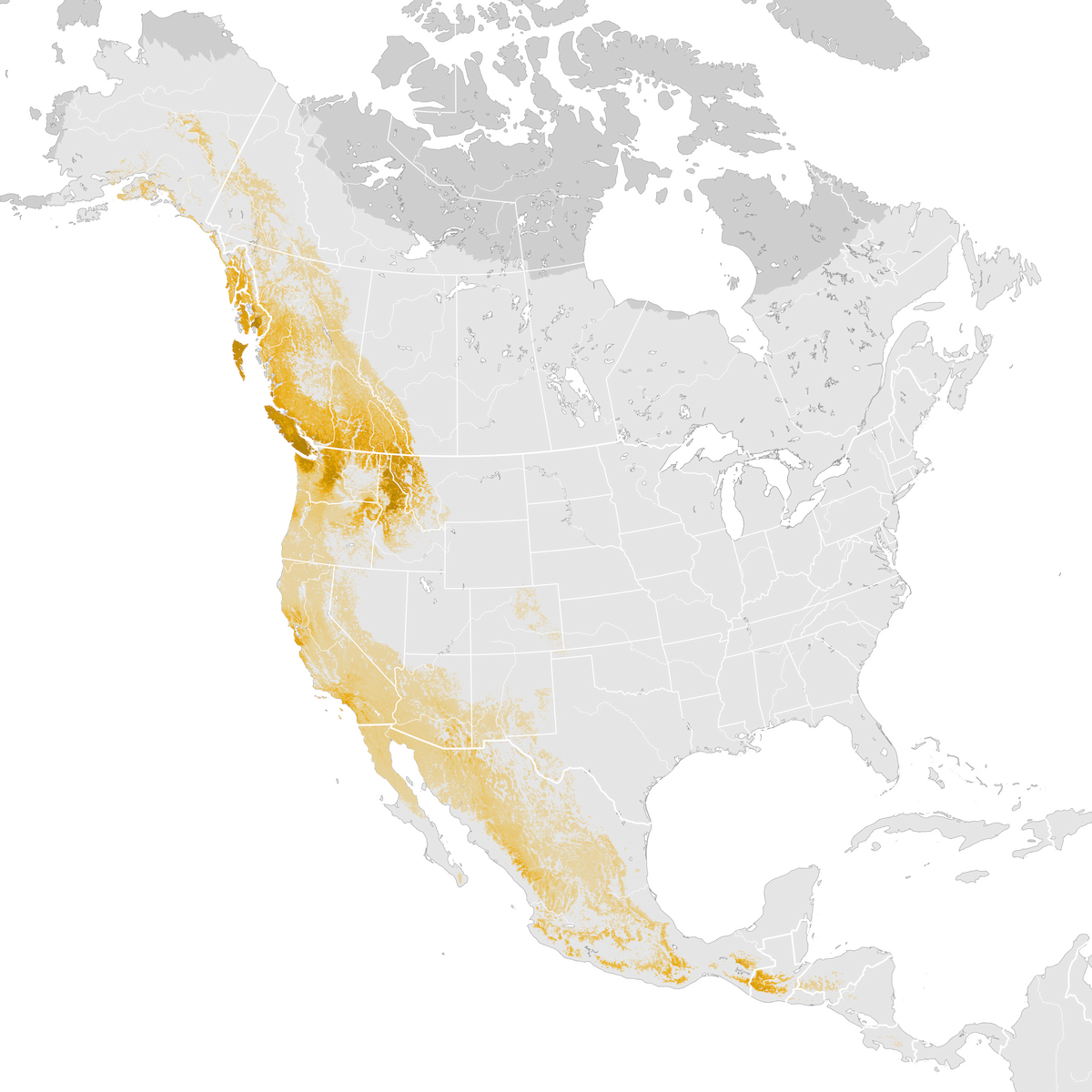 Townsend's Warbler - Abundance map: Pre-breeding migration - eBird ...