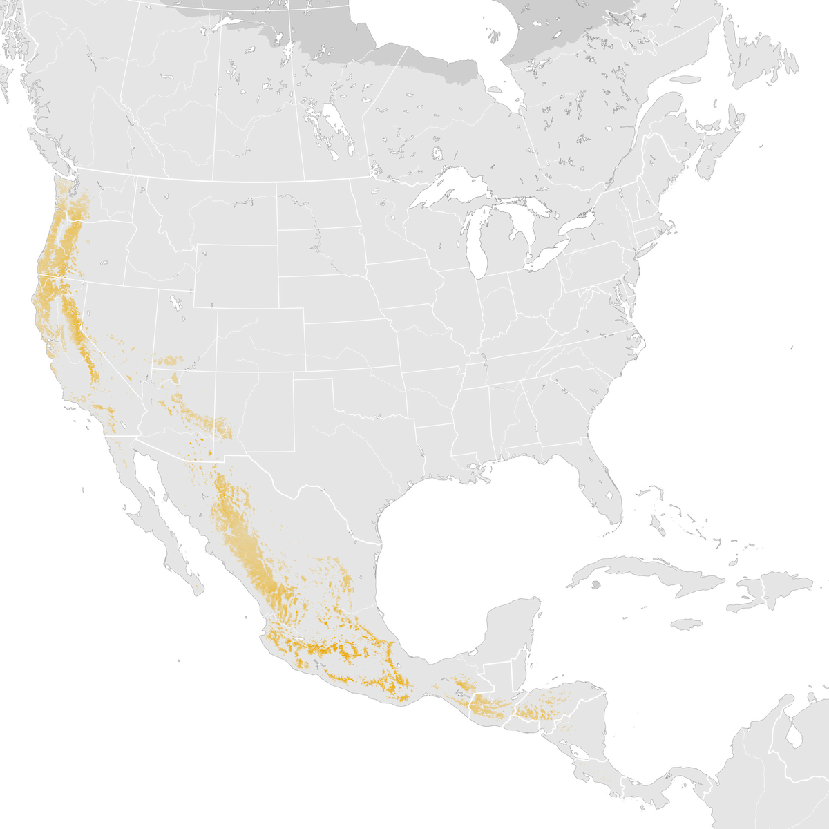 Hermit Warbler - Abundance map: Post-breeding migration - eBird Status ...