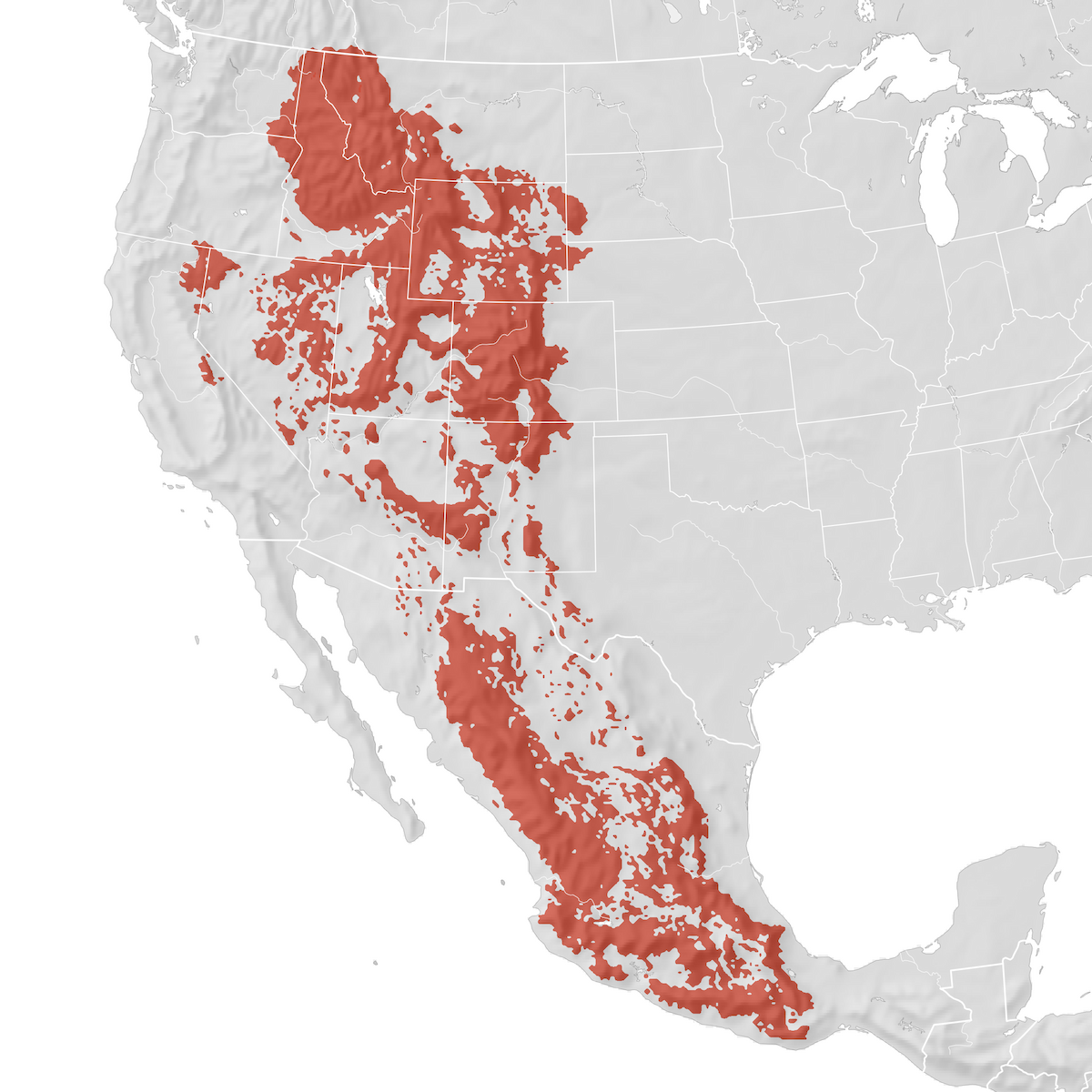 Cordilleran Flycatcher - Range map: Breeding - eBird Status and Trends