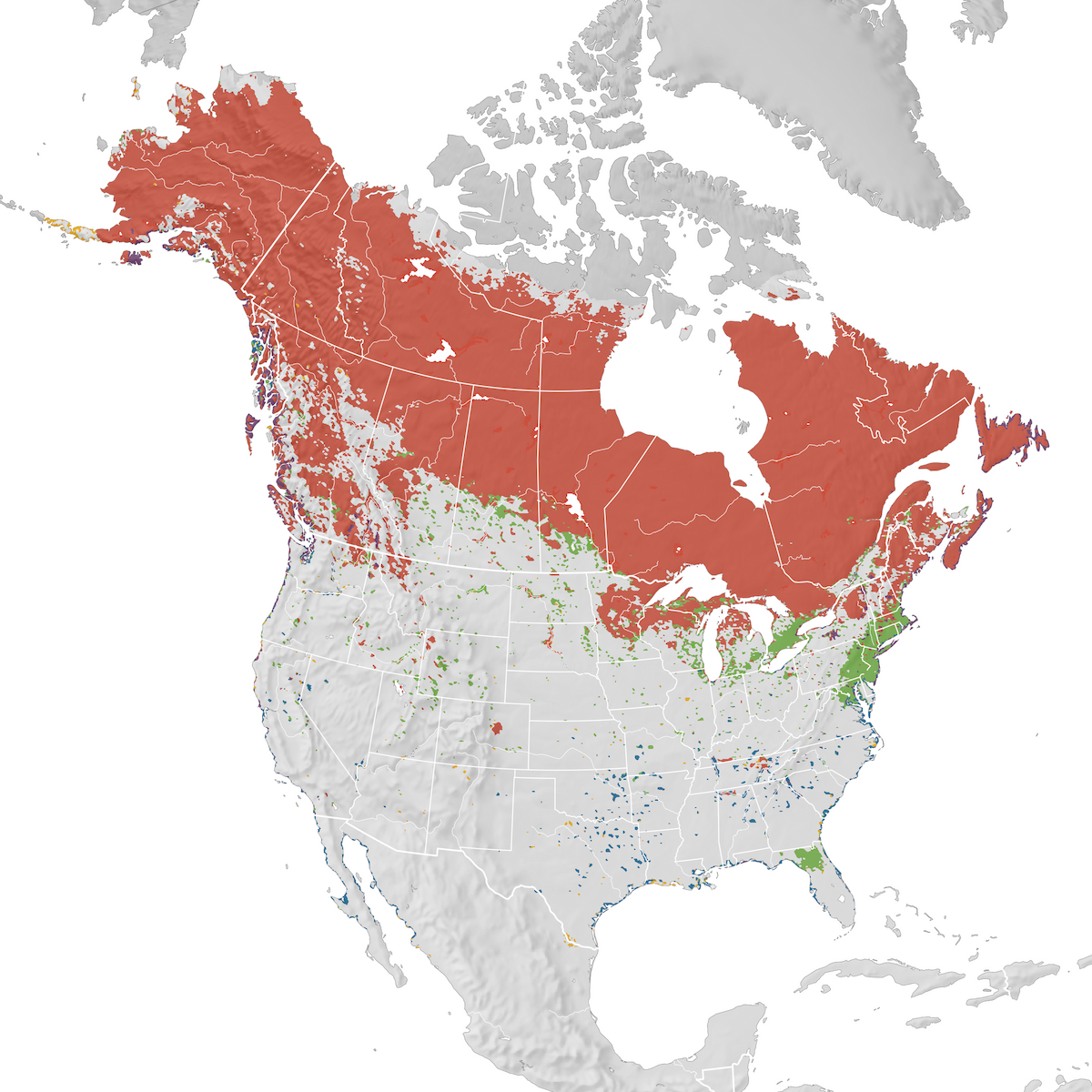 Common Loon - Range map - eBird Status and Trends