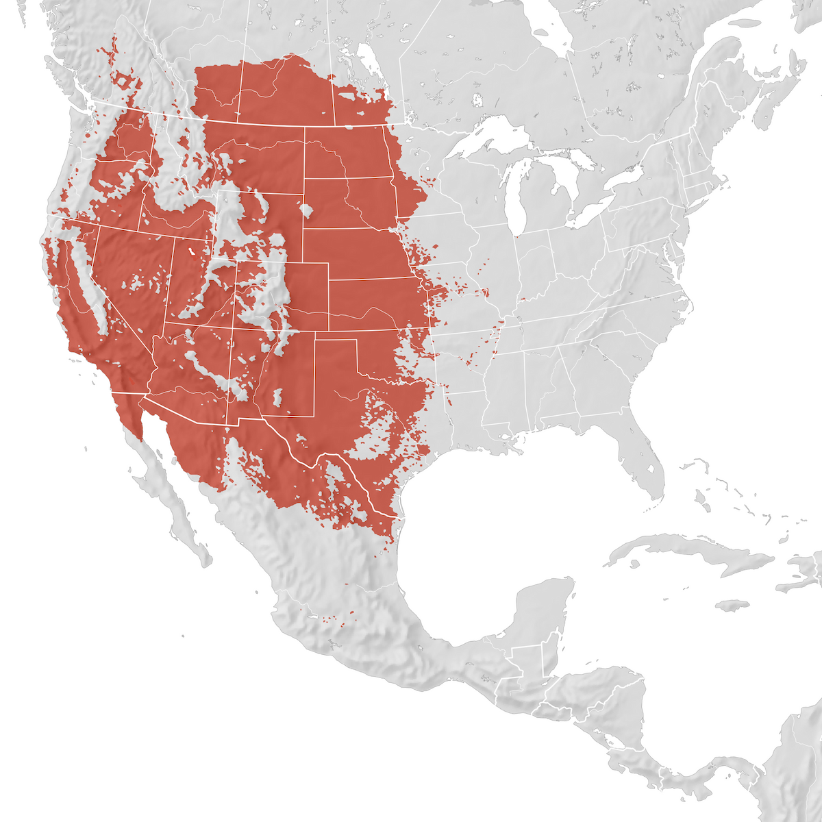 Western Kingbird - Range map: Breeding - eBird Status and Trends