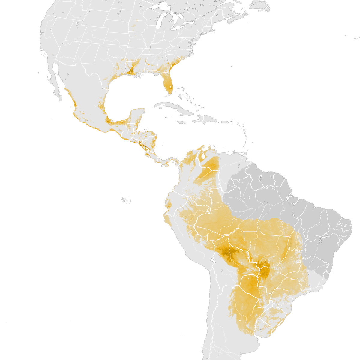 Wood Stork - Abundance map: Pre-breeding migration - eBird Status and ...