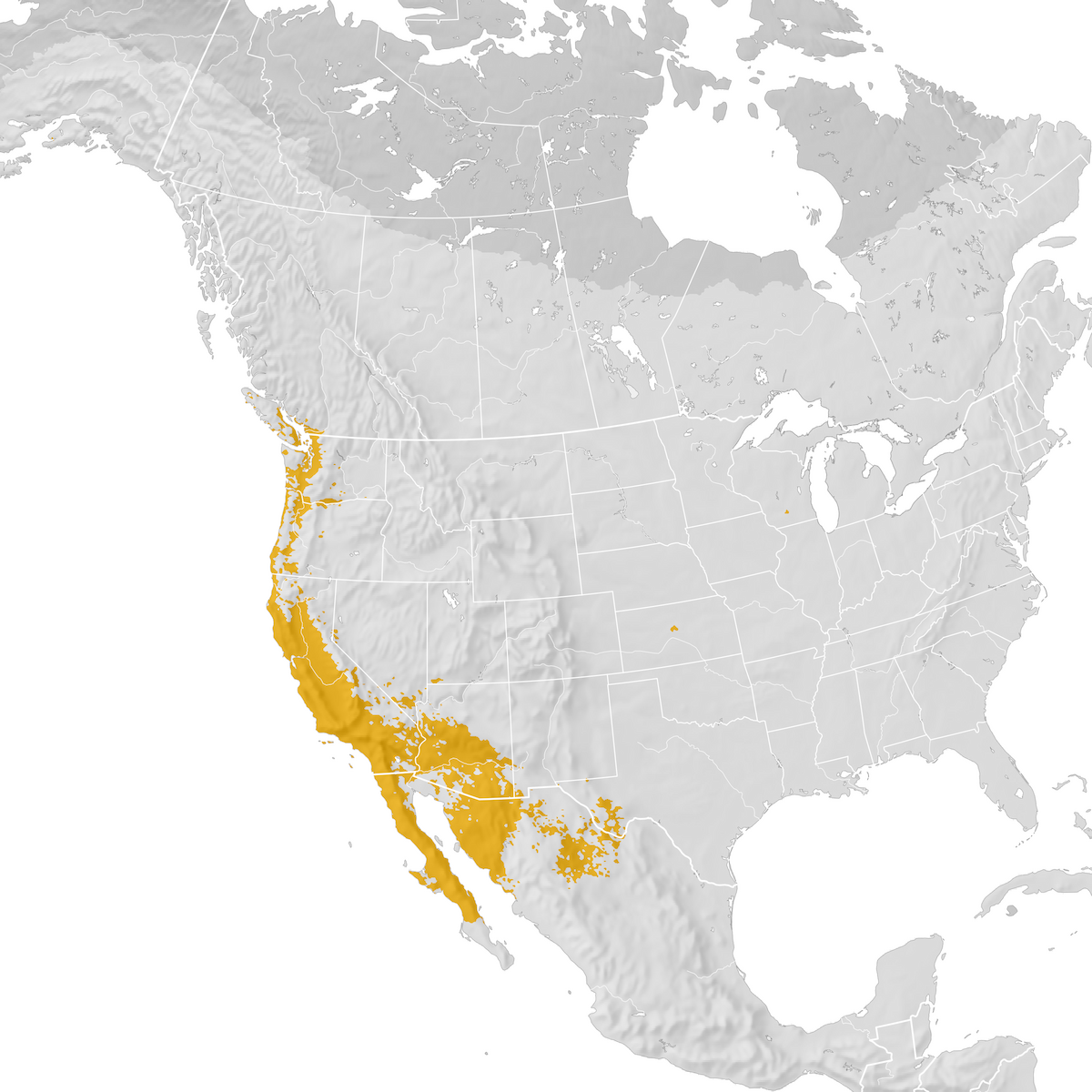 Anna's Hummingbird - Range map: Post-breeding migration - eBird Status ...
