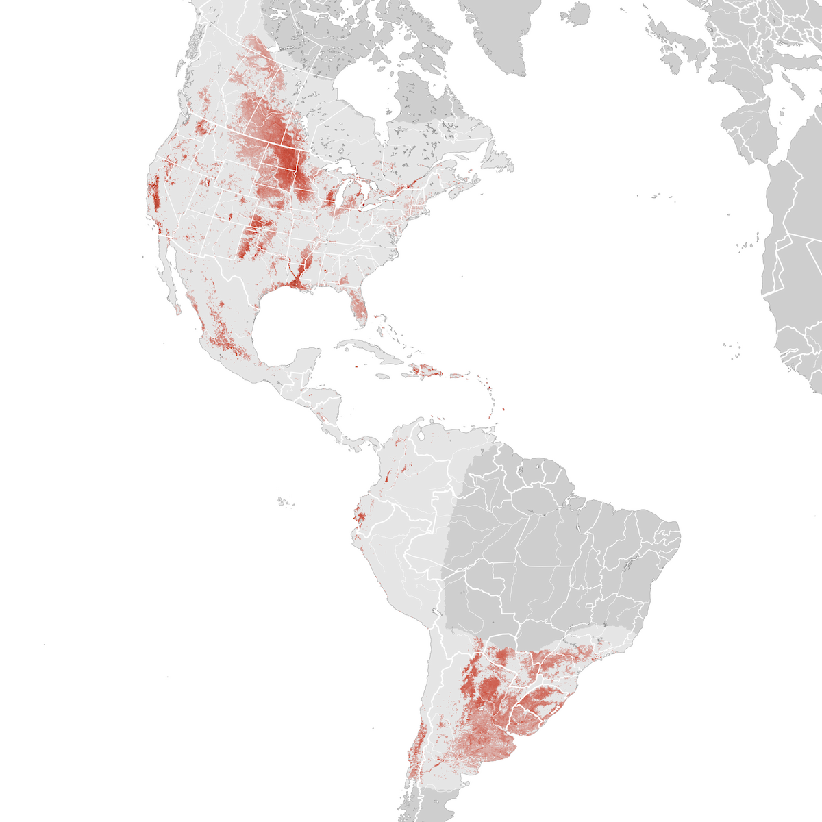 Pied-billed Grebe - Abundance map: Breeding - eBird Status and Trends