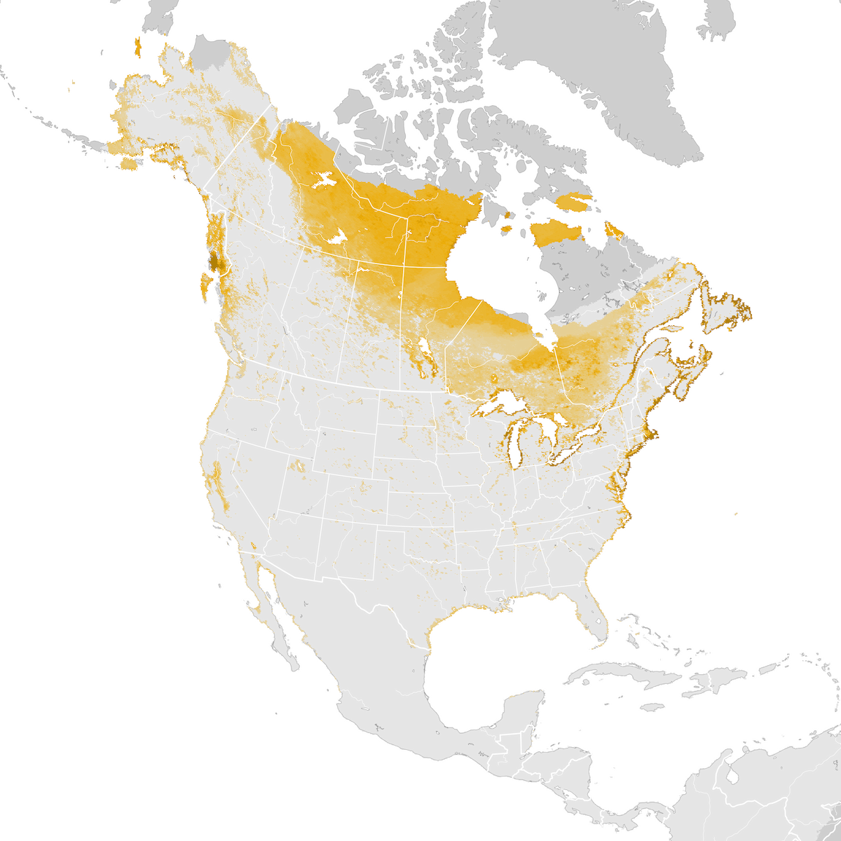 Herring Gull - Abundance map: Post-breeding migration - eBird Status ...