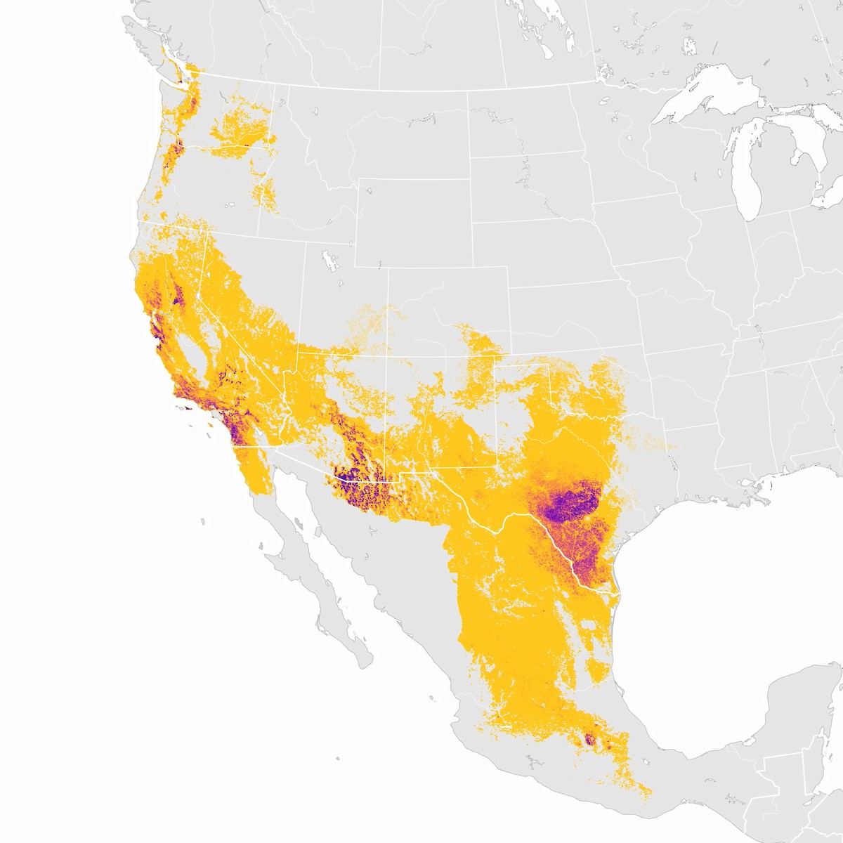 Bewick's Wren - Abundance animation - eBird Status and Trends