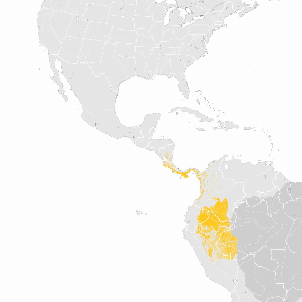 Yellow-green Vireo - Abundance animation - eBird Status and Trends
