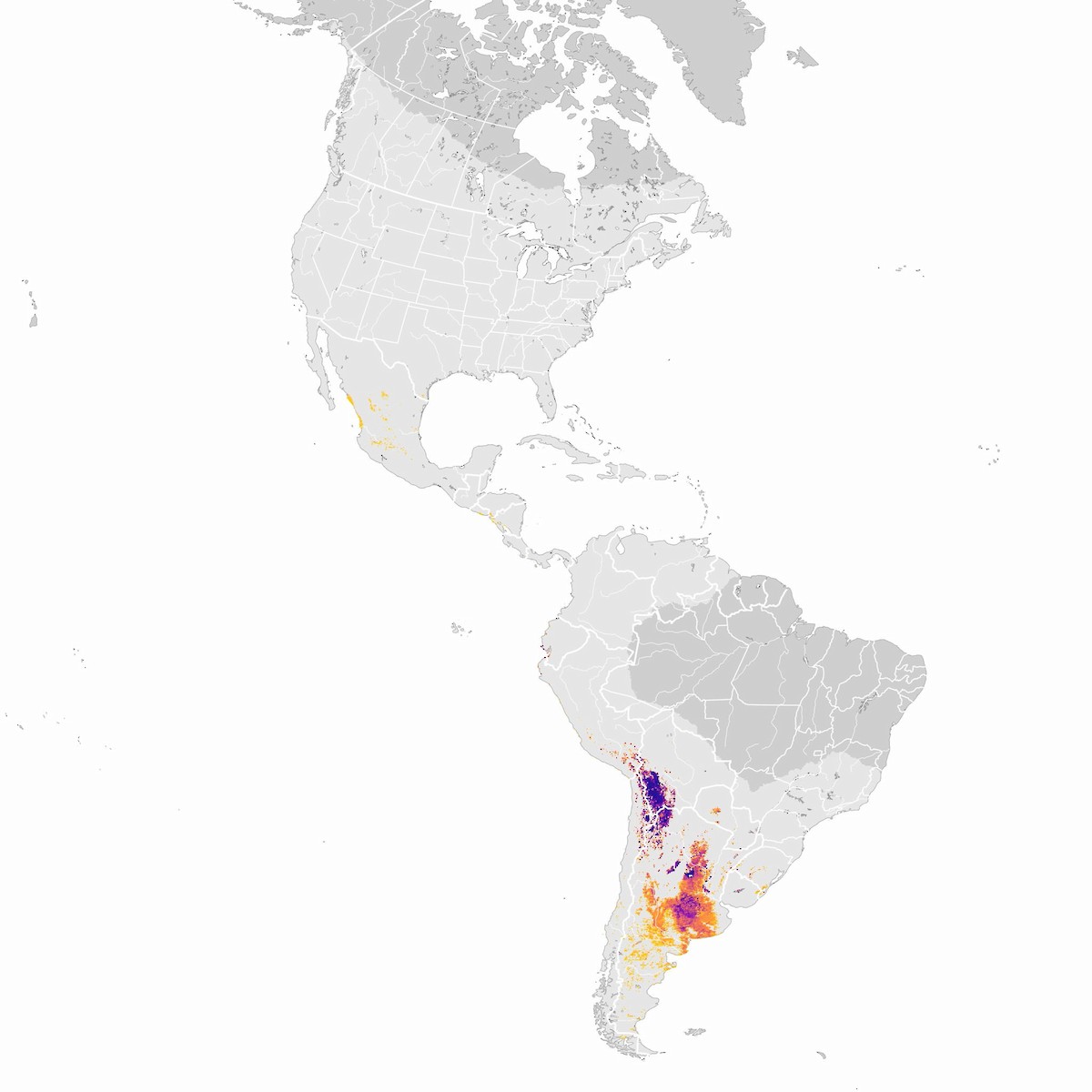 Wilson's Phalarope - Abundance animation - eBird Status and Trends