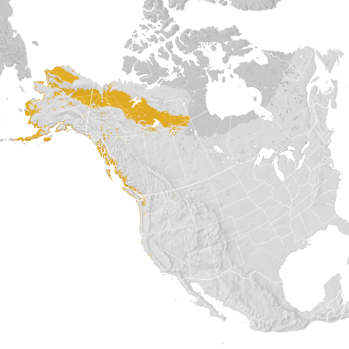Mew Gull - Range map: Post-breeding migration - eBird Status and Trends