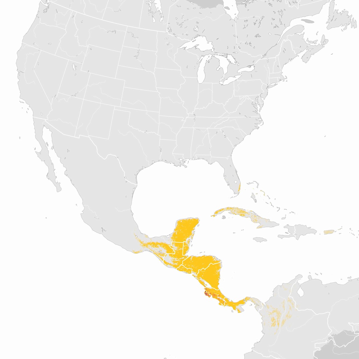 Yellow-throated Vireo - Abundance animation - eBird Status and Trends