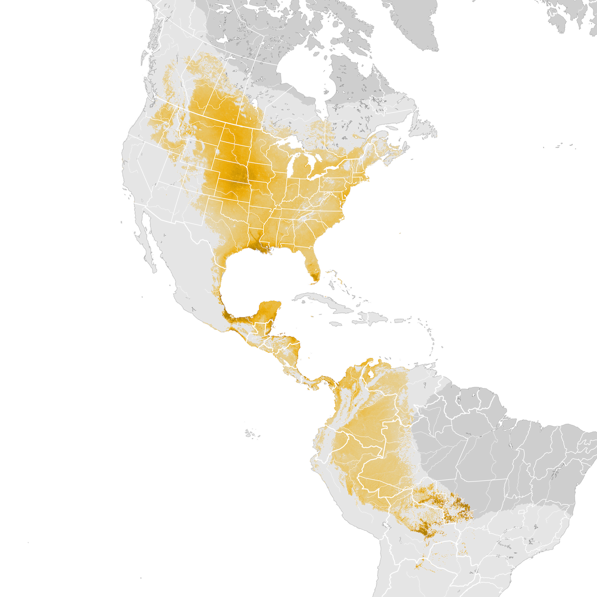 Eastern Kingbird - Abundance map: Post-breeding migration - eBird ...