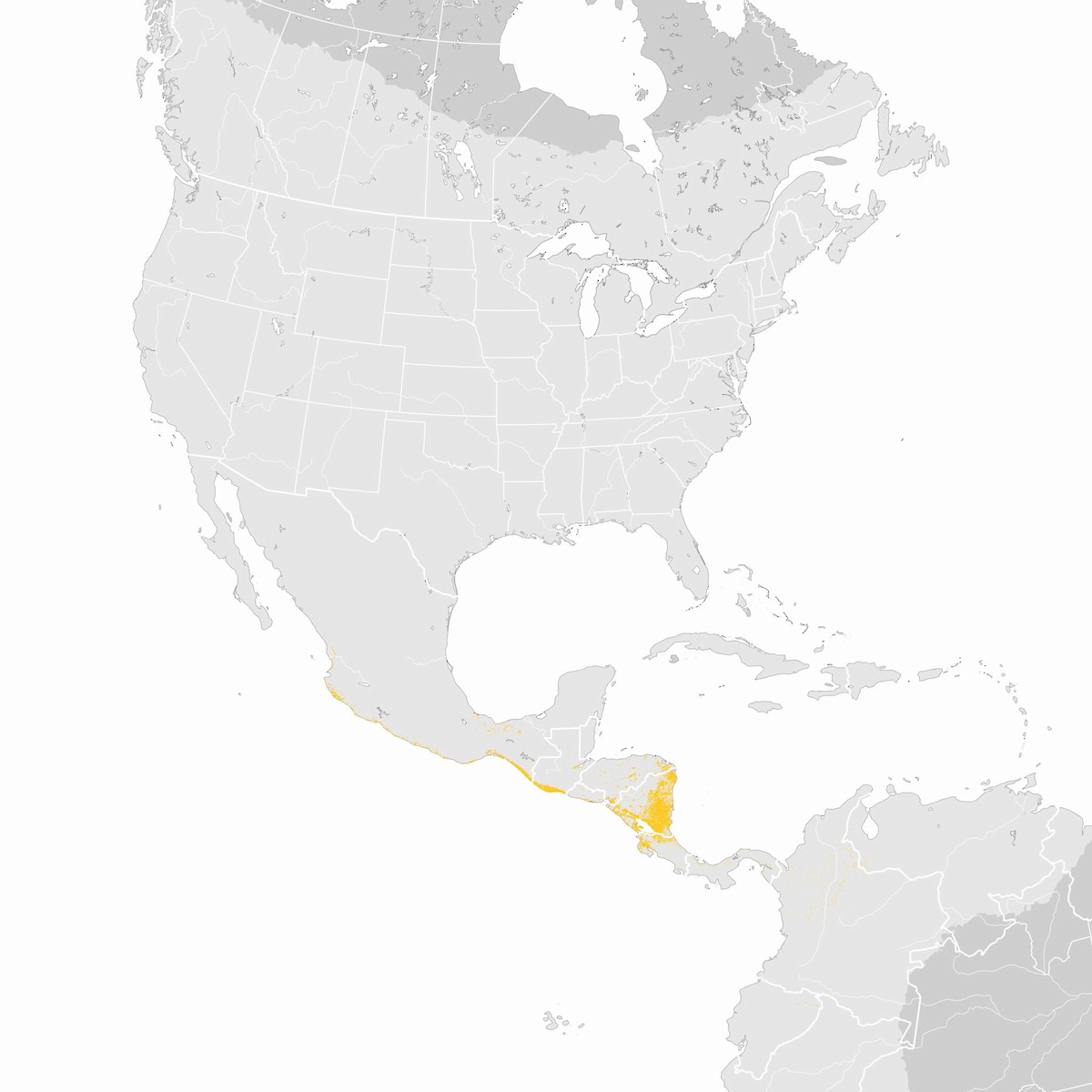 Willow Flycatcher - Abundance animation - eBird Status and Trends