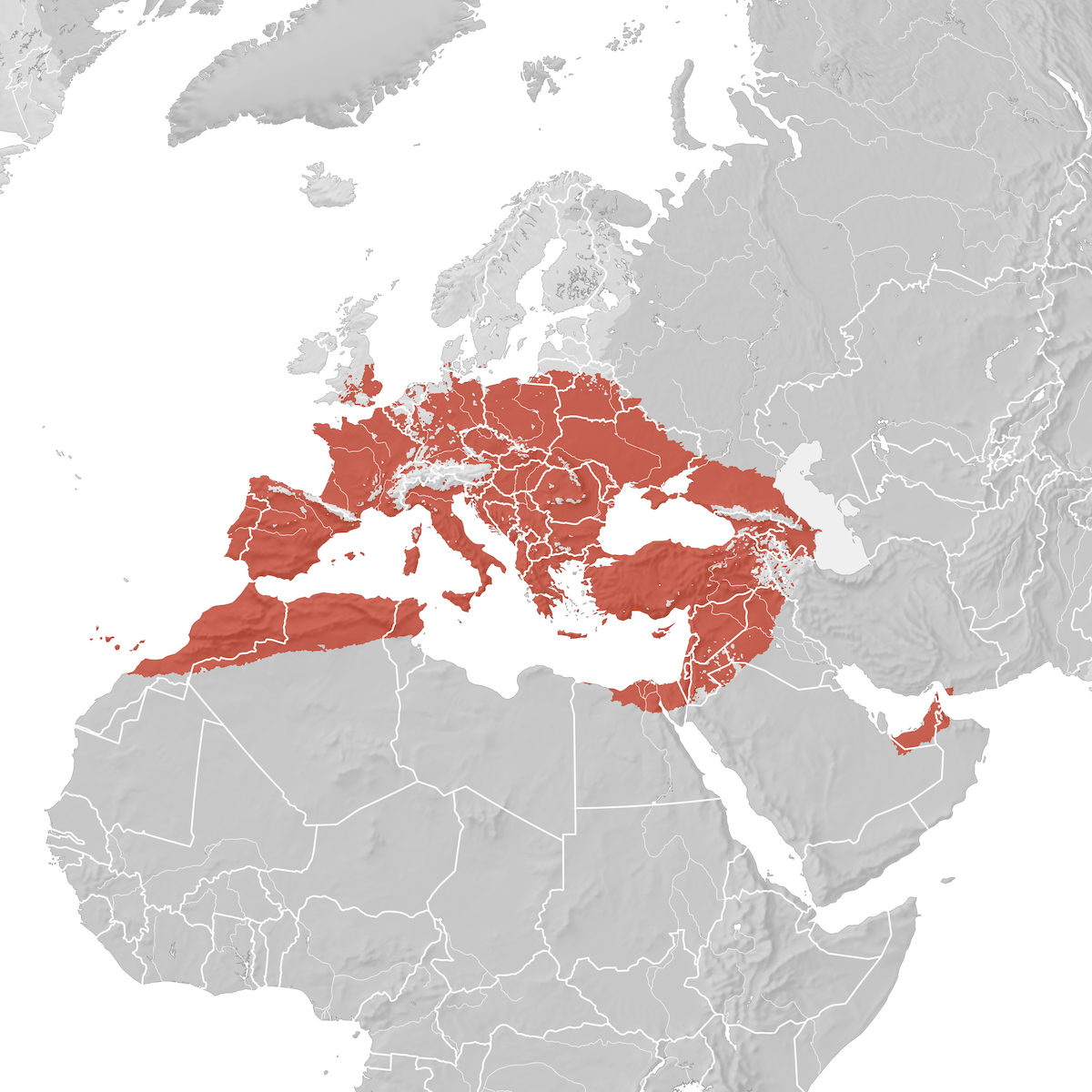 European Turtle-Dove - Range map: Breeding - eBird Status and Trends