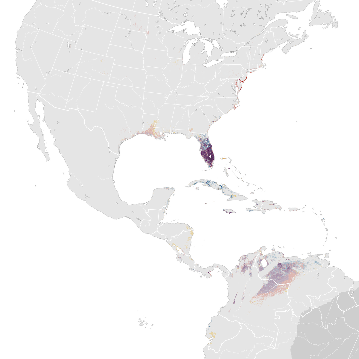 Glossy Ibis - Abundance map - eBird Status and Trends