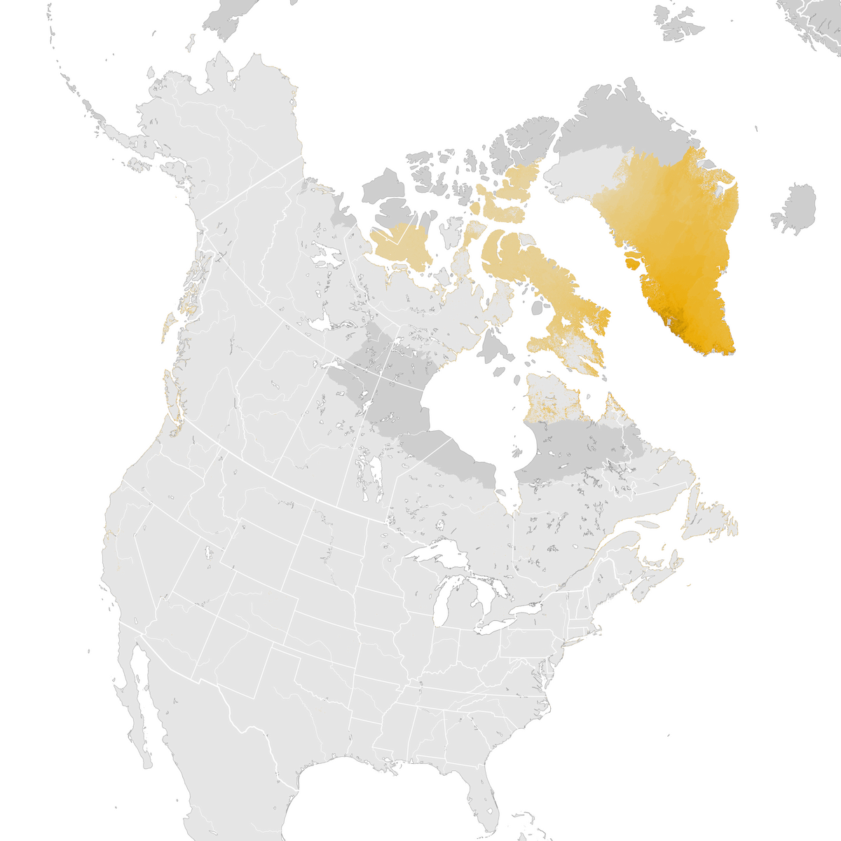 Iceland Gull - Abundance map: Post-breeding migration - eBird Status ...