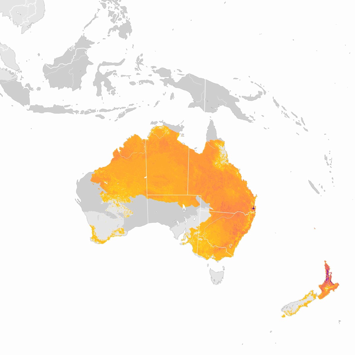 Sacred Kingfisher - Abundance animation - eBird Status and Trends