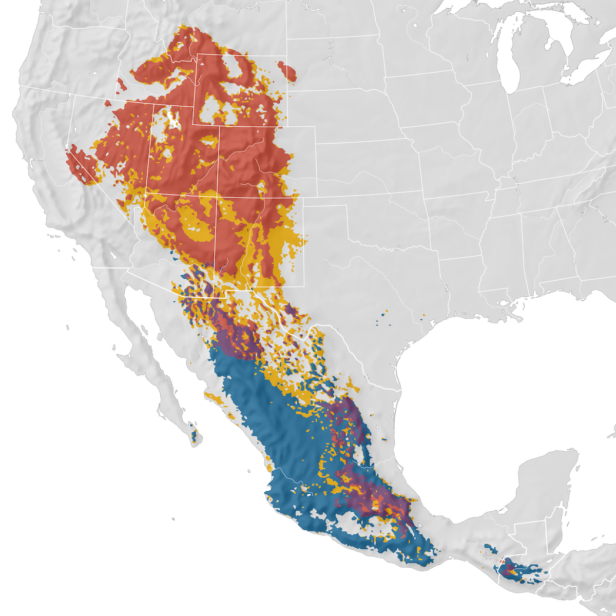 Hummingbird Moth Range Map