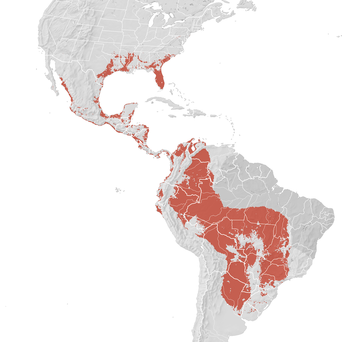 Wood Stork - Range map: Breeding - eBird Status and Trends