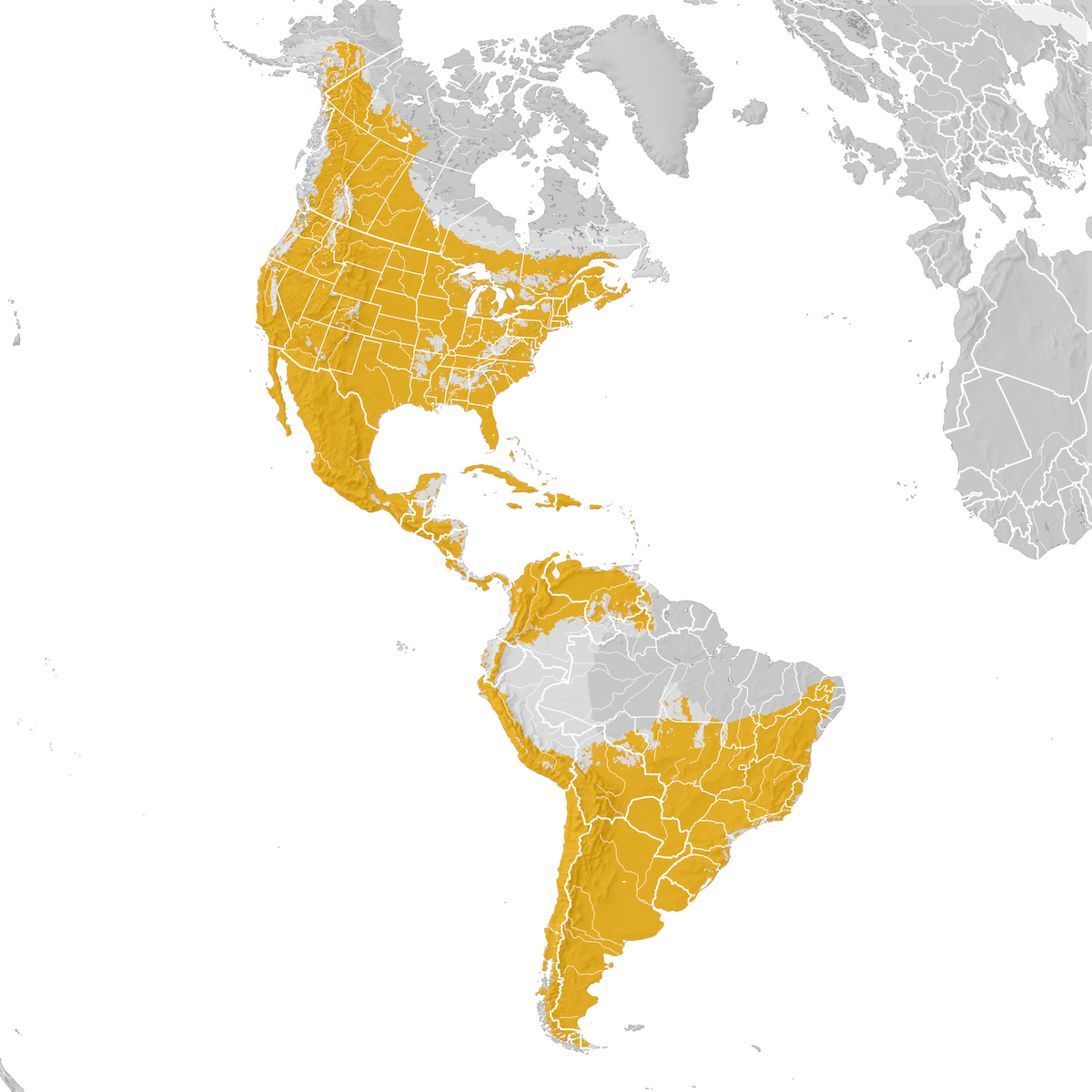 American Kestrel - Range map: Post-breeding migration - eBird Status ...