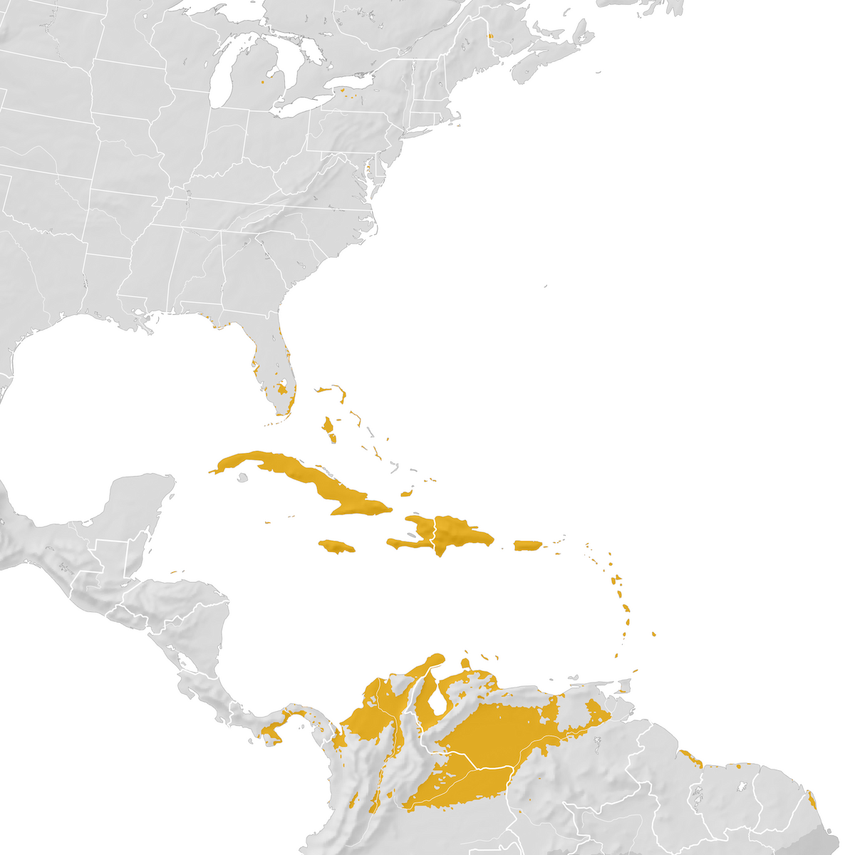 Gray Kingbird - Range map: Post-breeding migration - eBird Status and ...