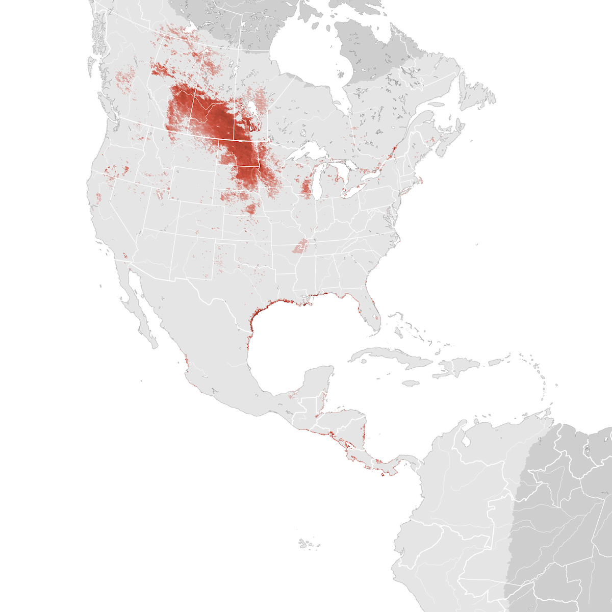 Black Tern - Abundance map: Breeding - eBird Status and Trends