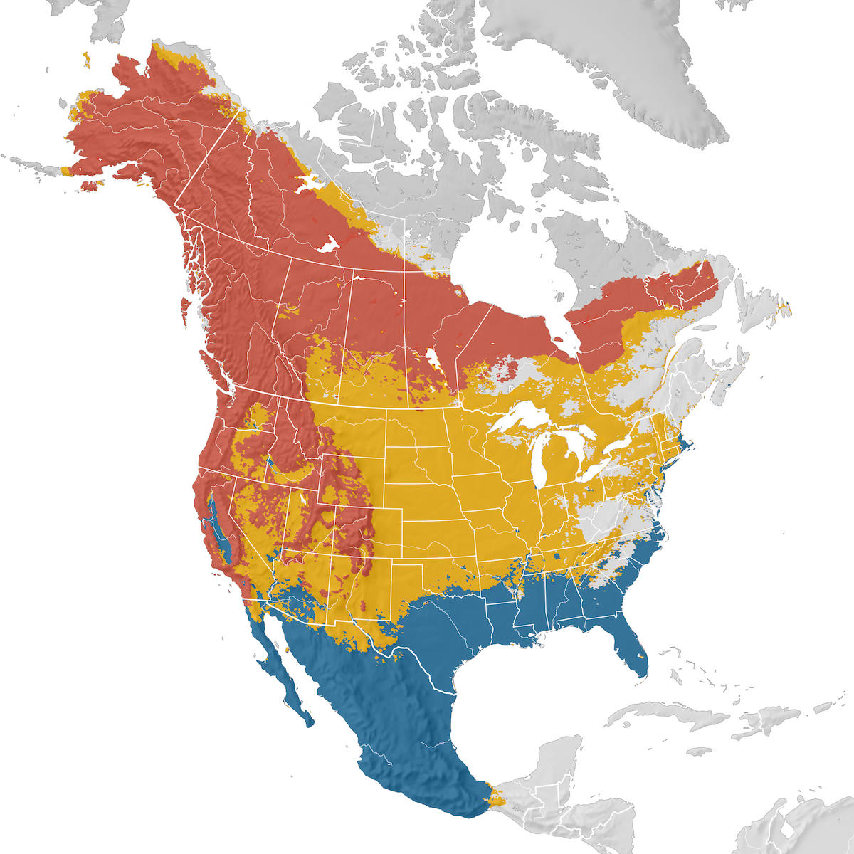 Orange-crowned Warbler - Range map - eBird Status and Trends