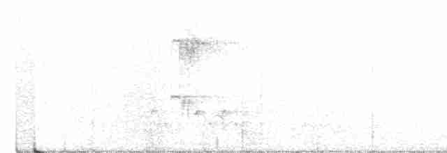 eBird Checklist - 8 Oct 2020 - Wild Pig Ck Rd area Undullah - 32 species