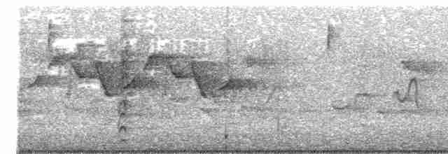 eBird Checklist - 18 May 2021 - Parker River NWR - 63 species