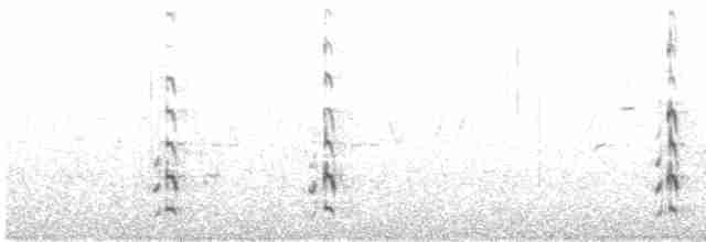 Maine Bird Atlas Checklist - 20 Jun 2021 - Laudholm Farm - 62 species