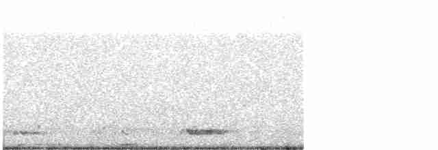 eBird Checklist - 17 Feb 2021 - Home (Bagalur Cross) - 7 species