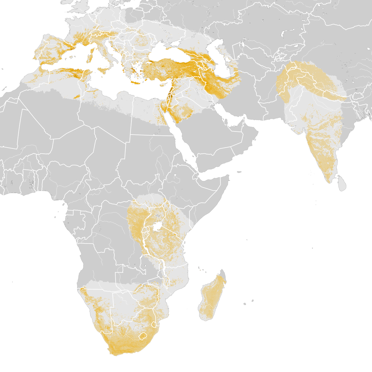 Alpine Swift - Abundance map: Post-breeding migration - eBird Status ...