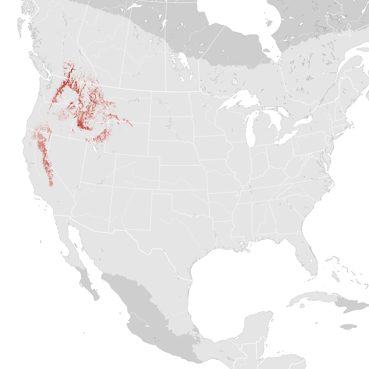 Calliope Hummingbird - Abundance map: Breeding - eBird Status and Trends