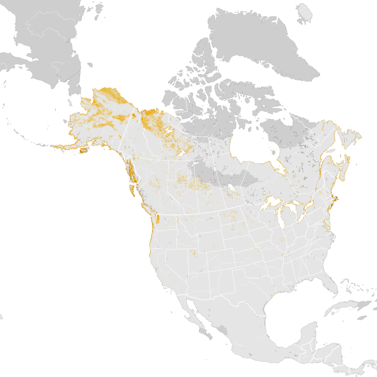 White-winged Scoter - Abundance map: Post-breeding migration - eBird ...