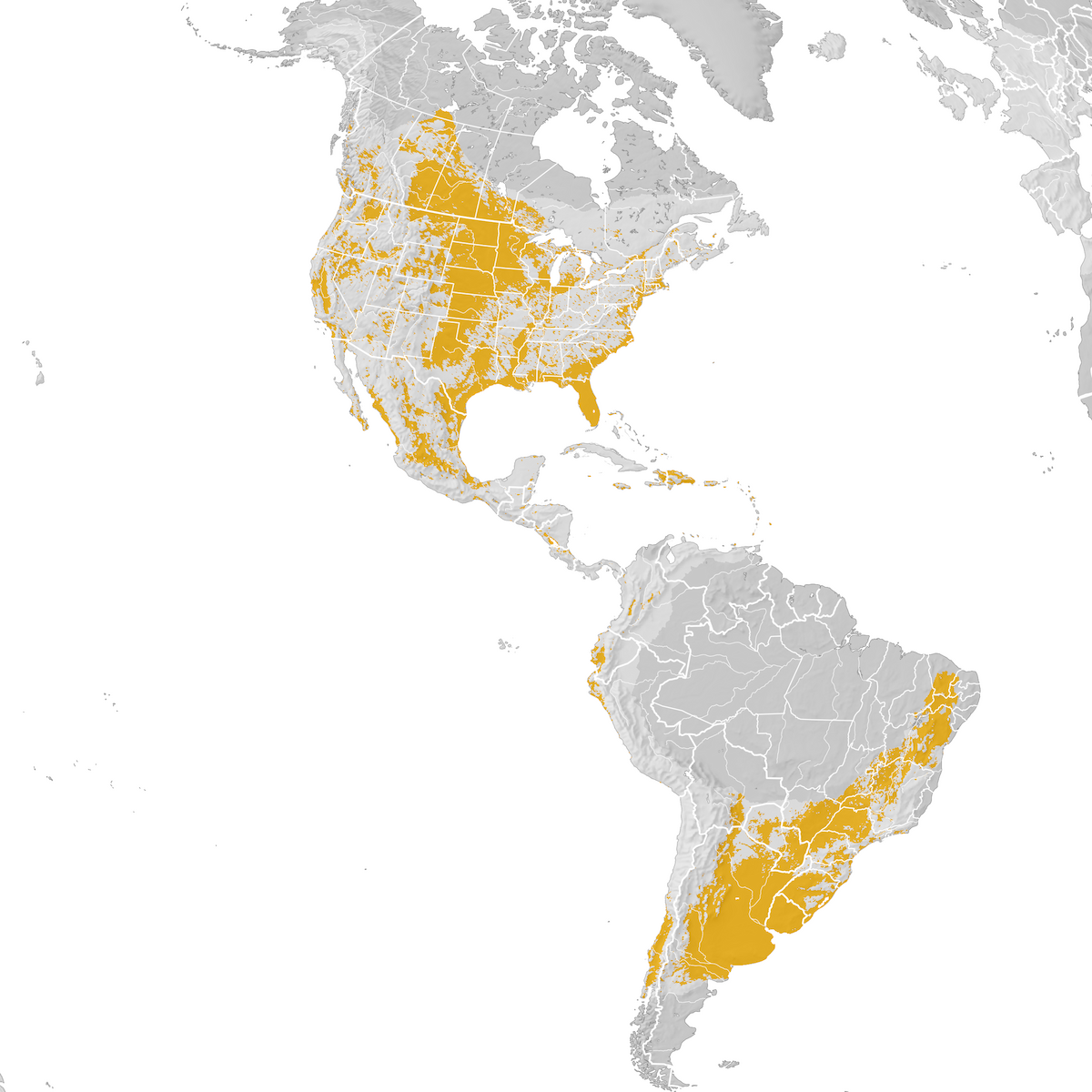 Pied-billed Grebe - Range map: Post-breeding migration - eBird Status ...